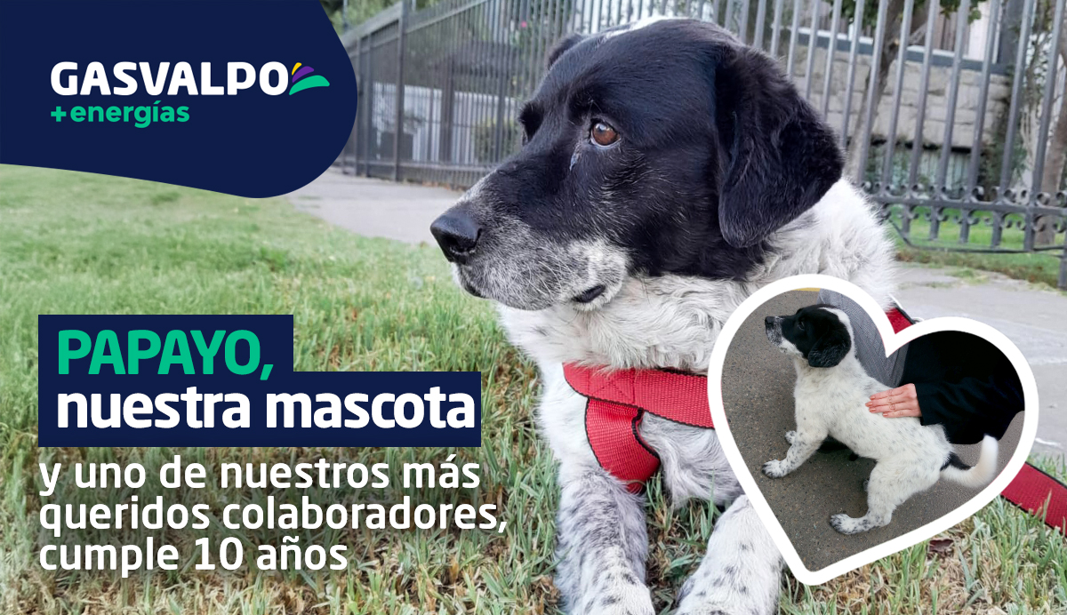 Noticia